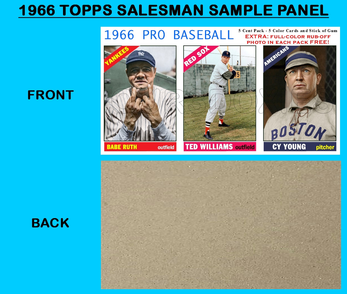 Ruth Young Williams 1966 Topps Salesman Sample Panel Custom Card - 471 ...